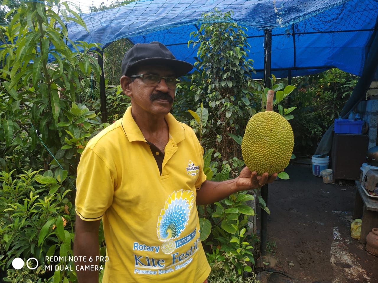 About Us – Chiguru Nursery